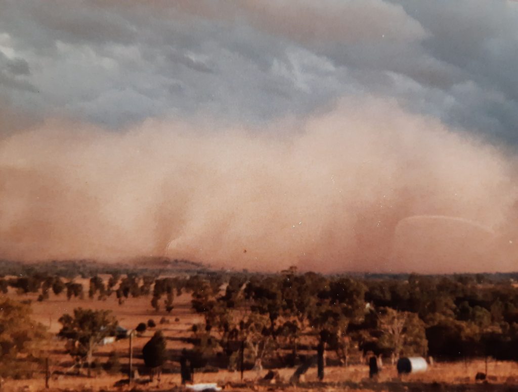 Drought, dust and despair; history repeats itself – Quirky Characters